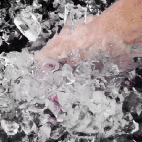 Work Hard Ice Cold GIF by Bucked Up - Find & Share on GIPHY