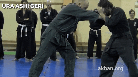 Ura Ashi Geri GIFs - Get the best GIF on GIPHY