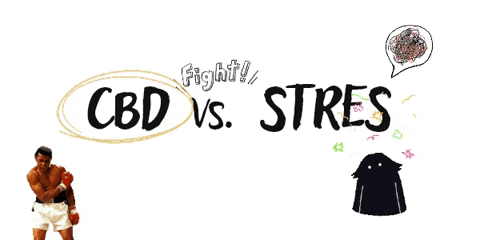 random GIFs on GIPHY - Be Animated