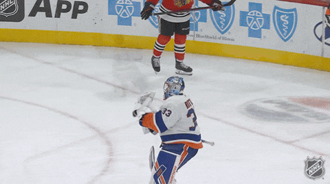 NHL GIFs on GIPHY - Be Animated