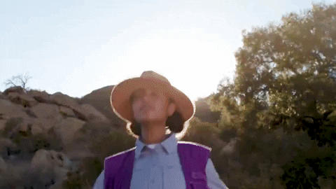 T-Rex Ranch GIFs on GIPHY - Be Animated