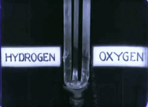 White-experience GIFs - Get the best GIF on GIPHY