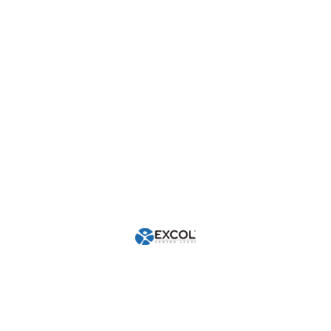 Centro Studi Excol GIFs on GIPHY - Be Animated