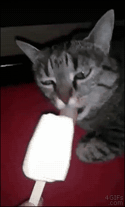 Cat Brain GIF by ViralHog - Find & Share on GIPHY