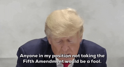 Former Pres. Trump Just Can't Stop Pleading the Fifth by GIPHY News | GIPHY
