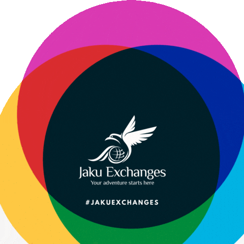 Workandtravel GIFs - Get the best GIF on GIPHY