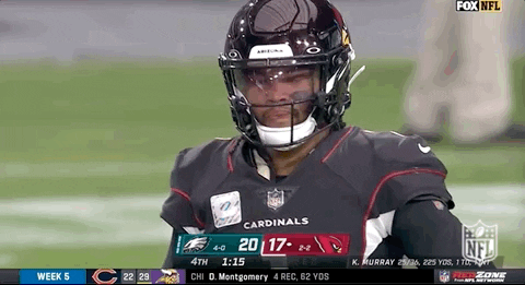 Arizona Cardinals Football GIF by NFL - Find & Share on GIPHY