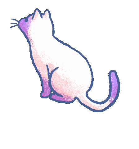 Cat Watching Sticker for iOS & Android | GIPHY