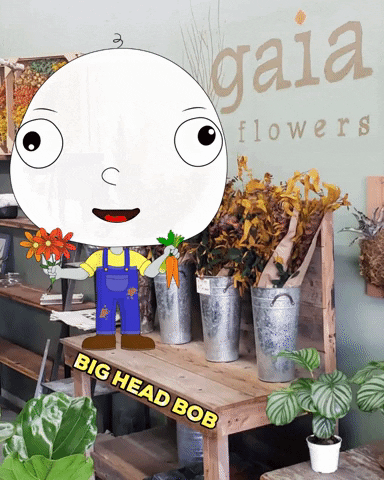 Flowershop GIFs - Get the best GIF on GIPHY