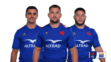 XV de France masculin GIFs on GIPHY - Be Animated