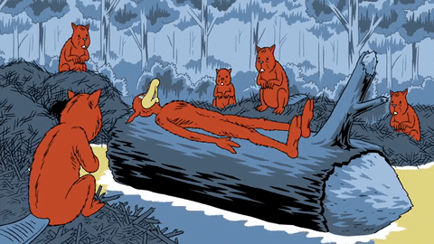 Chris Cornwell GIFs on GIPHY - Be Animated