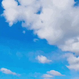 Happy Morning GIF - Find & Share on GIPHY