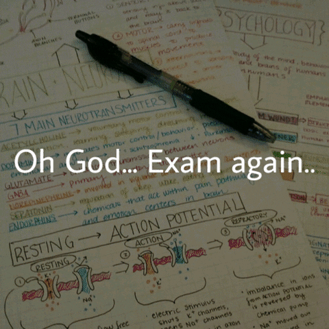 Study-hard GIFs - Get the best GIF on GIPHY