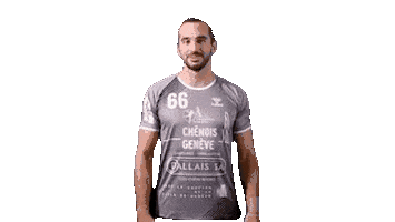 CS Chênois Genève Handball GIFs on GIPHY - Be Animated