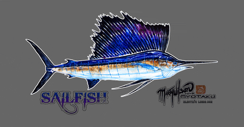 Sailfish GIFs - Get the best GIF on GIPHY