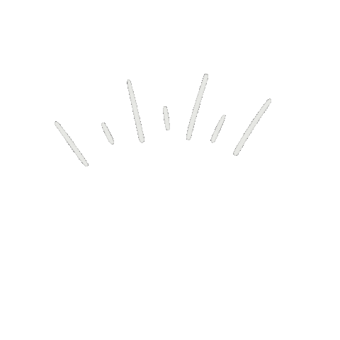 Meet Milo: 500th joey from Tasmanian devil breeding program - ABC News