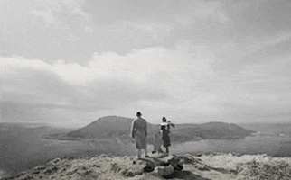 Hey Look I Made A GIFs - Get the best GIF on GIPHY