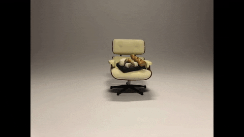 Miniature GIF - Find & Share on GIPHY