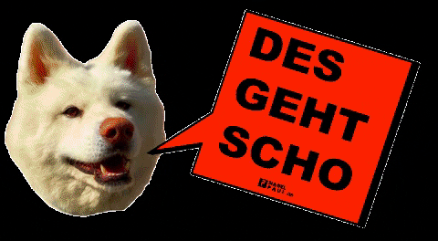 Hund Geht GIFs - Get the best GIF on GIPHY