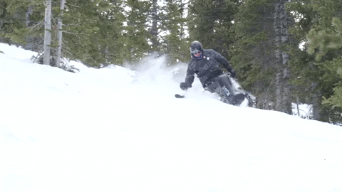 Snowboarding Road Trip GIF by ikonpass - Find & Share on GIPHY