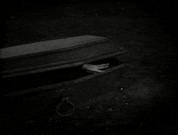 Dracula Coffin Gif