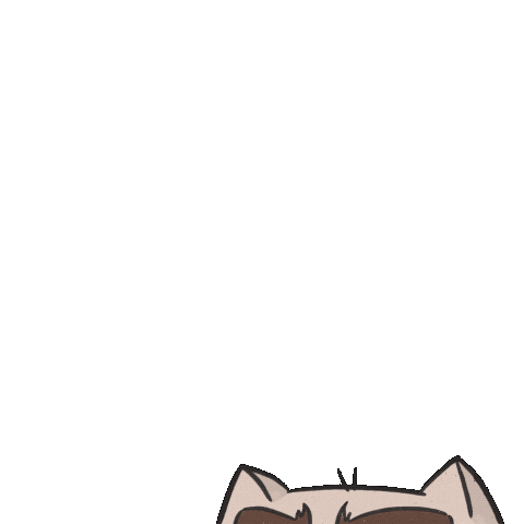 Grumpy Cat Desktop Wallpaper