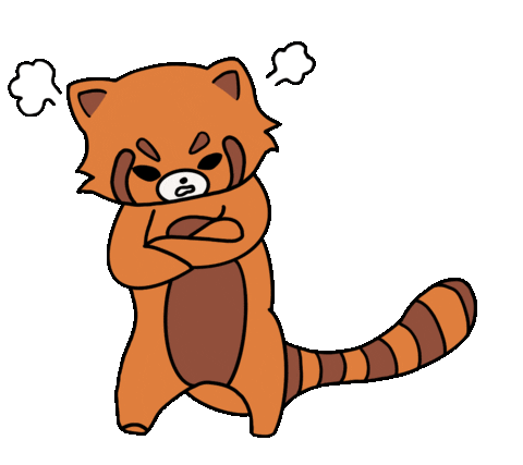 Red Panda Cute Gif