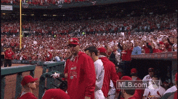 St. Louis Cardinals Baseball GIF by MLB - Find & Share on GIPHY