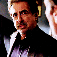 Wut Not Tagging All Of Them Ops GIFs - Get the best GIF on GIPHY