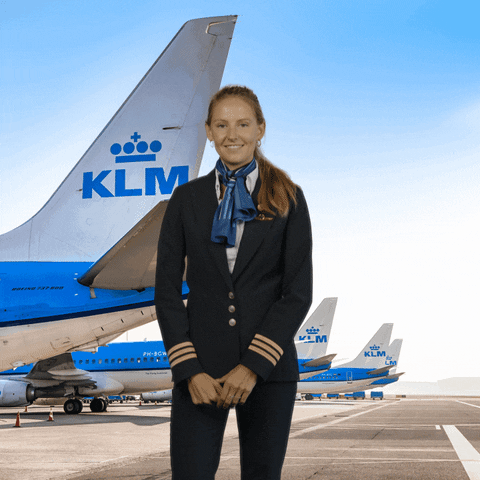 KLM Cockpit & Cabin Crew GIFs on GIPHY - Be Animated