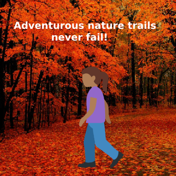 Nature-trail GIFs - Get the best GIF on GIPHY