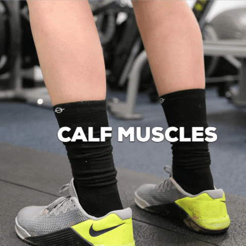 Calf-muscle GIFs - Get the best GIF on GIPHY