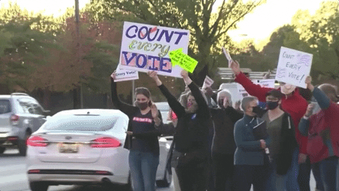 Count Every Vote Protest GIFs - Get the best GIF on GIPHY