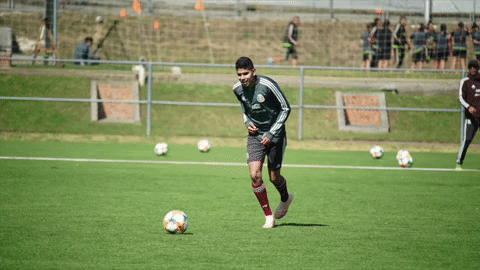 Mexico National Team Football GIF by MiSelecciónMX - Find & Share on GIPHY