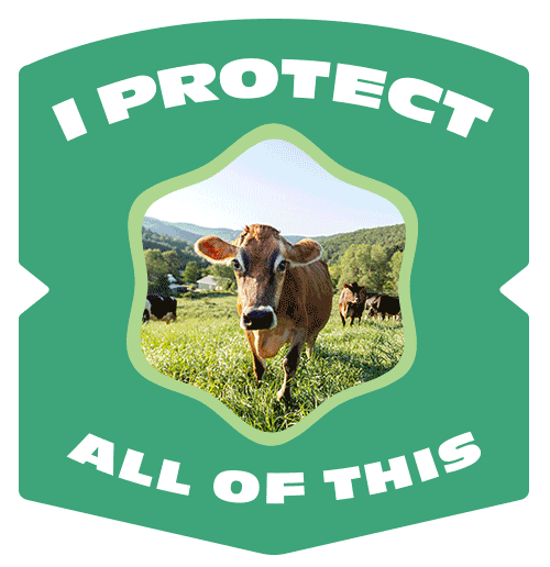 Organic Valley GIFs on GIPHY - Be Animated