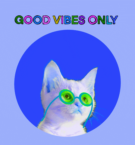 Colourful-cats GIFs - Get the best GIF on GIPHY