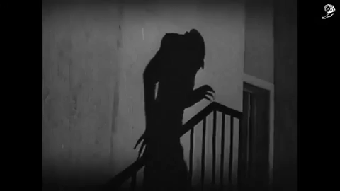 Nosferatu Shadow Gif