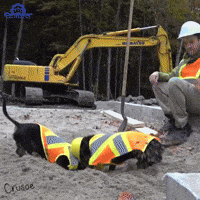 Keep Up The Great Work Gif