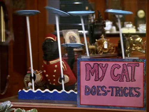 Spinning Plates GIFs - Get the best GIF on GIPHY