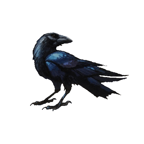 The Girl and the Raven GIFs on GIPHY - Be Animated
