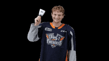 Flint Firebirds GIFs on GIPHY - Be Animated