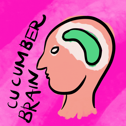 Dumb Brain GIFs - Find & Share on GIPHY