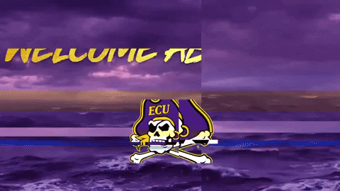 Ecu Pirate GIFs - Get the best GIF on GIPHY
