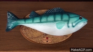 Fillet-o-fish GIFs - Get the best GIF on GIPHY