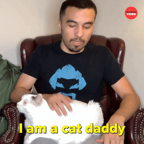 Cat Daddy Gif