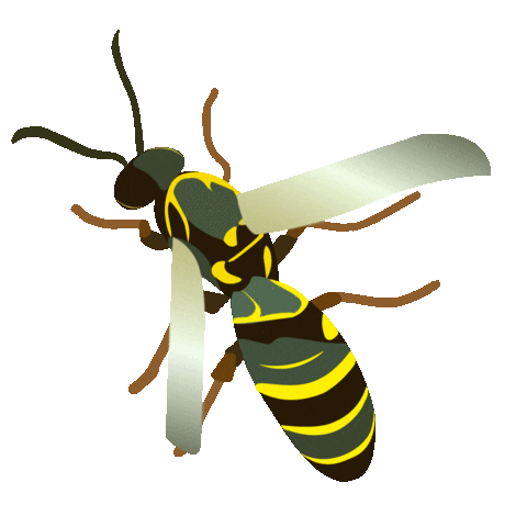 Yellowjackets GIFs on GIPHY - Be Animated