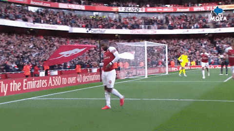 Emirates A380 GIFs - Get the best GIF on GIPHY