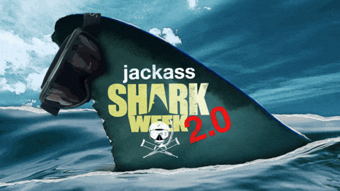 Jackass-shark-week GIFs - Get the best GIF on GIPHY