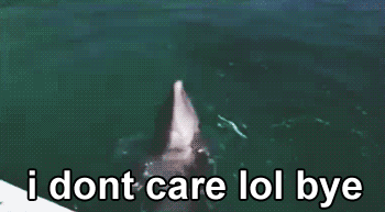 New trending GIF tagged bye goodbye dolphin i… | Trending Gifs