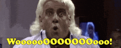 Rick Flair Woo GIFs - Find & Share on GIPHY